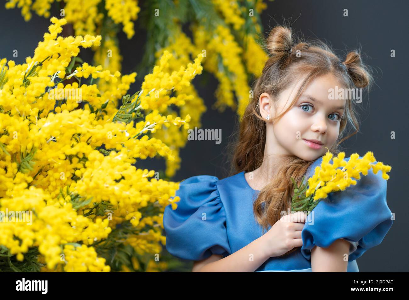 A girl with a mimosa buket in a blue dress and with a teddy bear brush ...