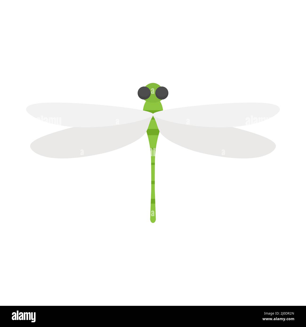 Cute dragonflies with dotted line route. Green dragonfly fling Stock ...
