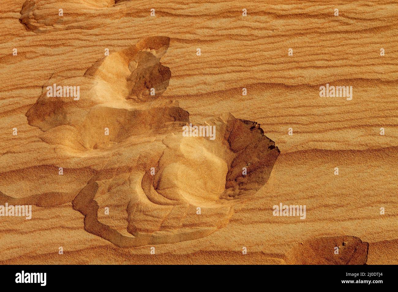 Desert in United Arab Emirates Stock Photo - Alamy