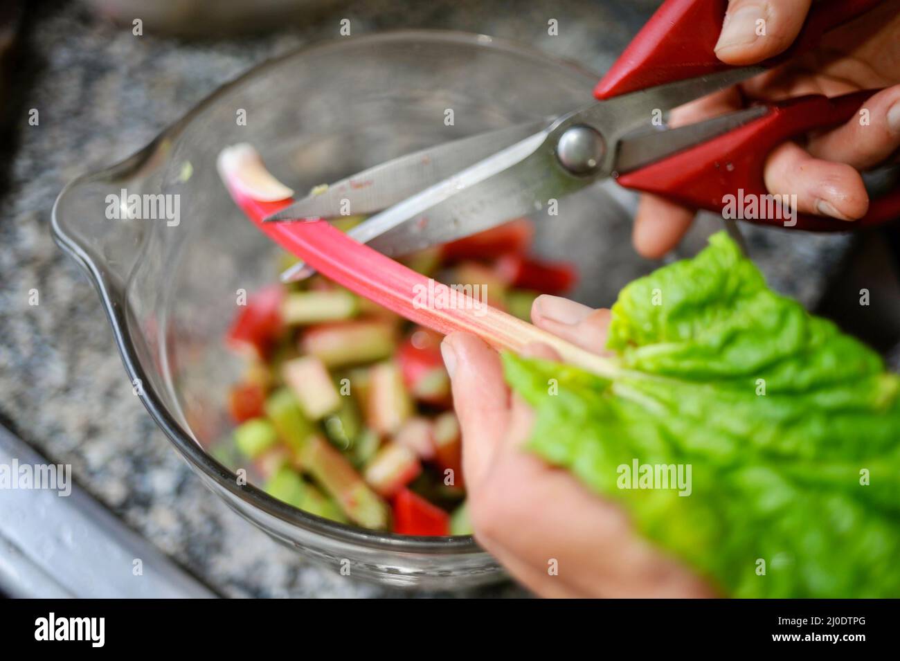 Rhubarb stems hi-res stock photography and images - Alamy