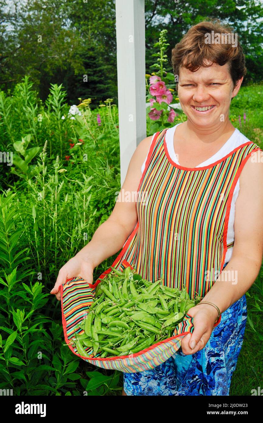 Sugar ann snap peas hi-res stock photography and images - Alamy