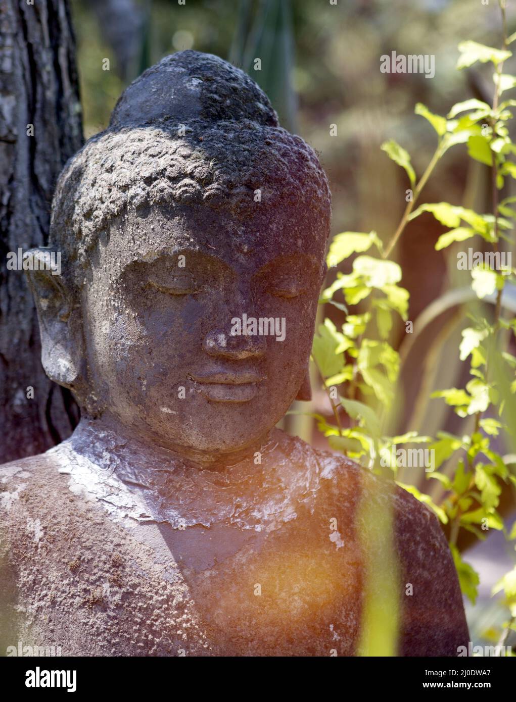 Stein figure hi-res stock photography and images - Alamy