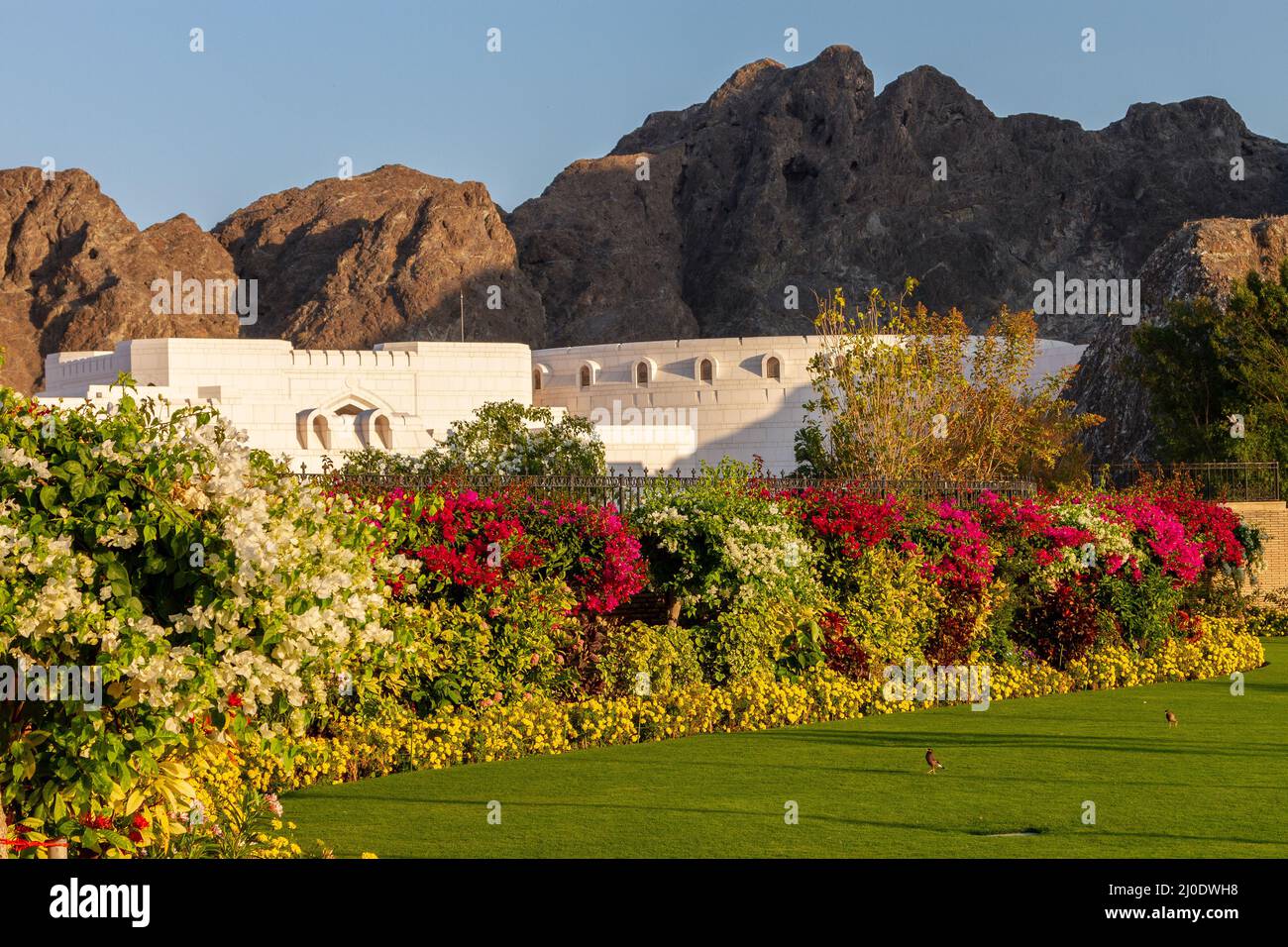 Al Alam palace in Oman Stock Photo - Alamy