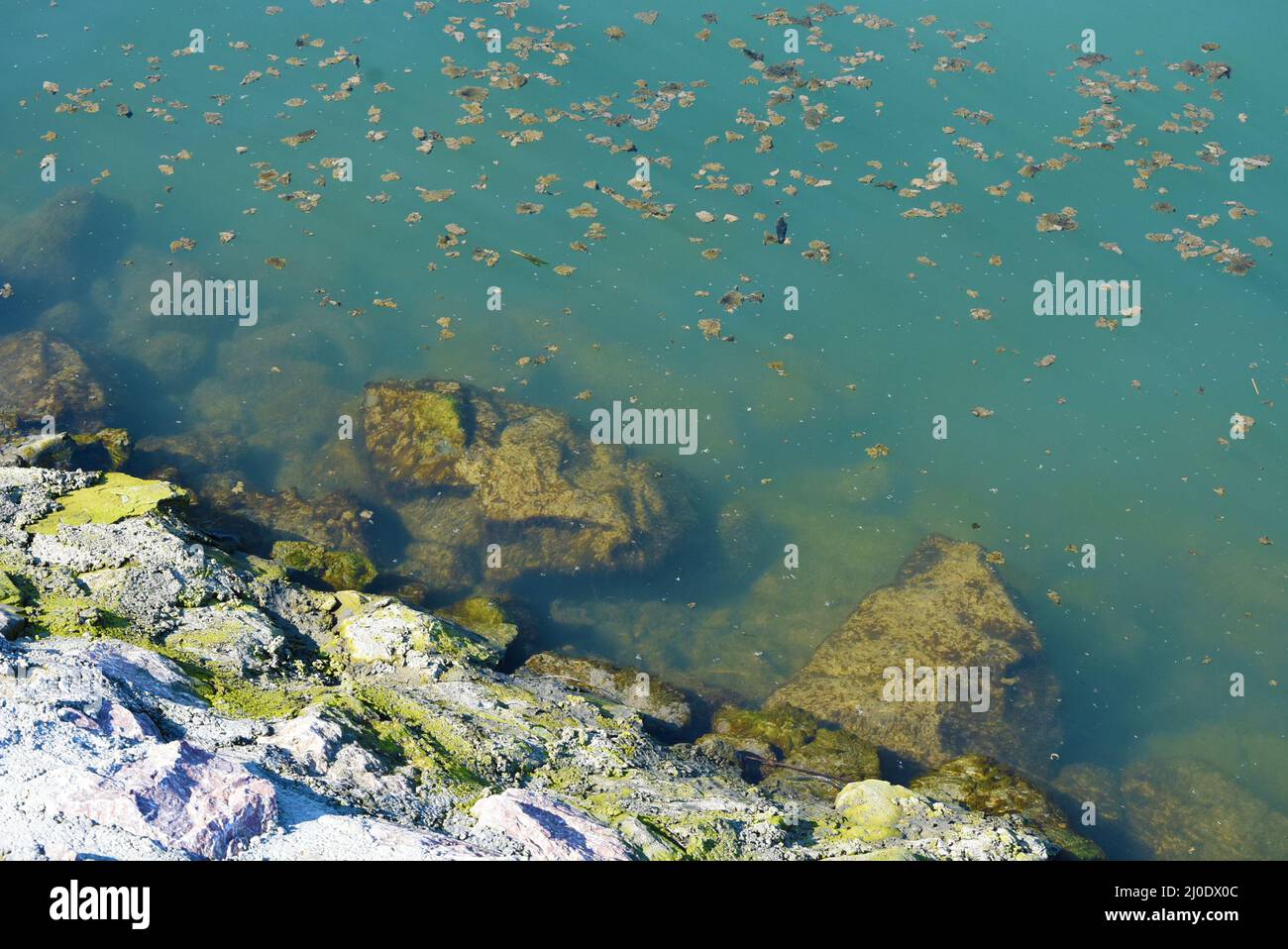 Underwater sand bank hi-res stock photography and images - Alamy