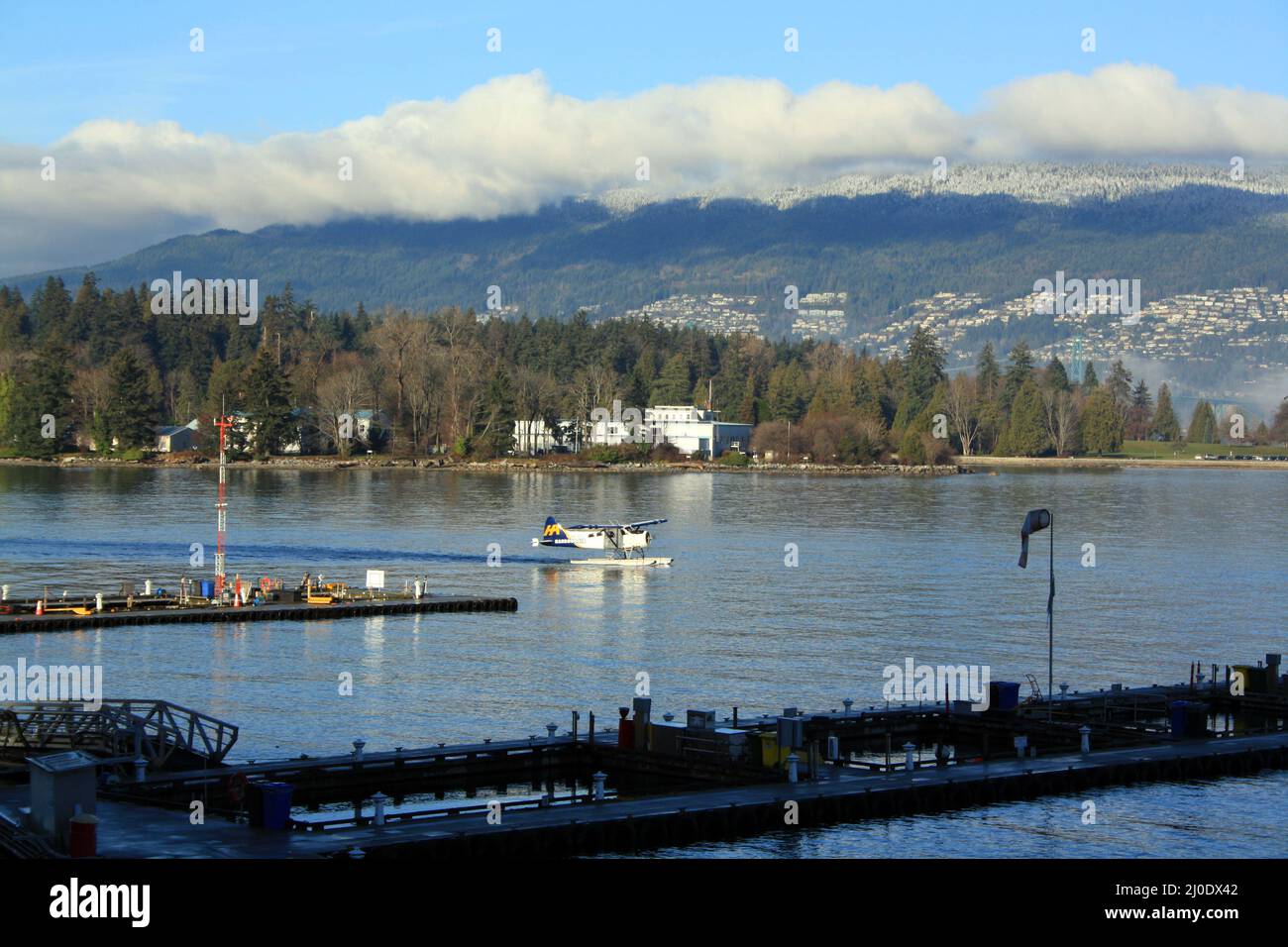 landscape view of water river with forest trees in Vancouver Harbour ...