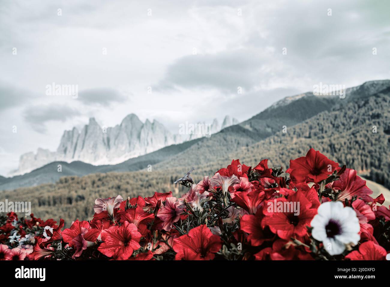 View of the Geisler Stock Photo - Alamy