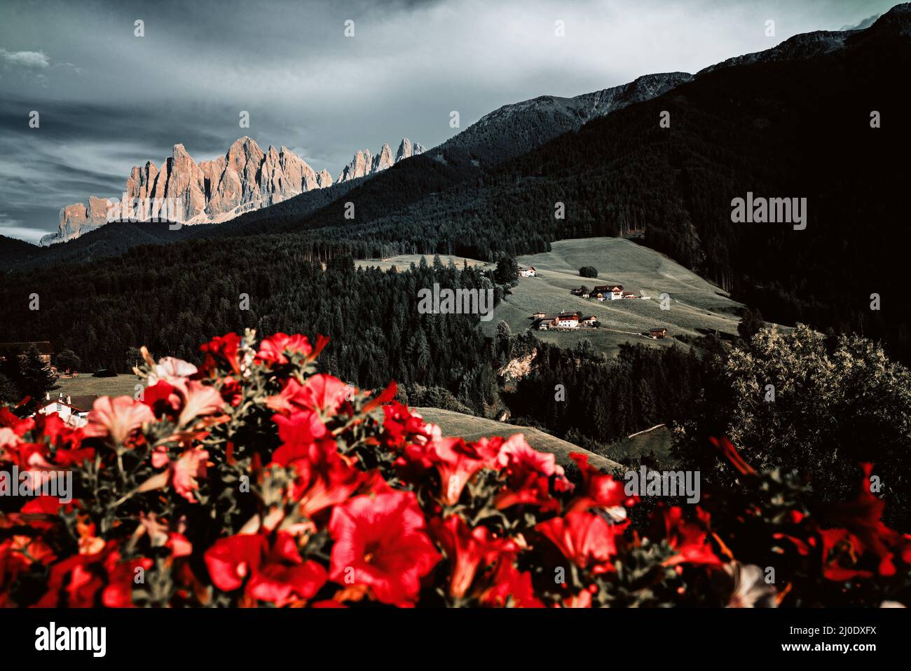 View of the Geisler Stock Photo - Alamy