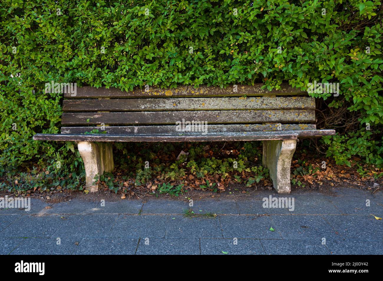 Old bench in the park Stock Photo - Alamy