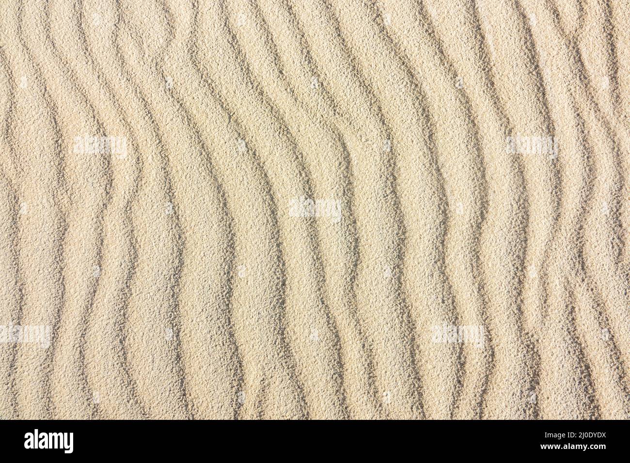 Texture Of A Sand Dune Stock Photo - Alamy