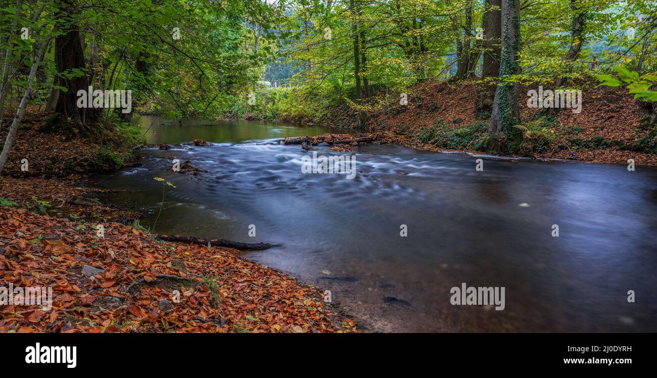 Autumn landscape creek in wood hi-res stock photography and images - Alamy