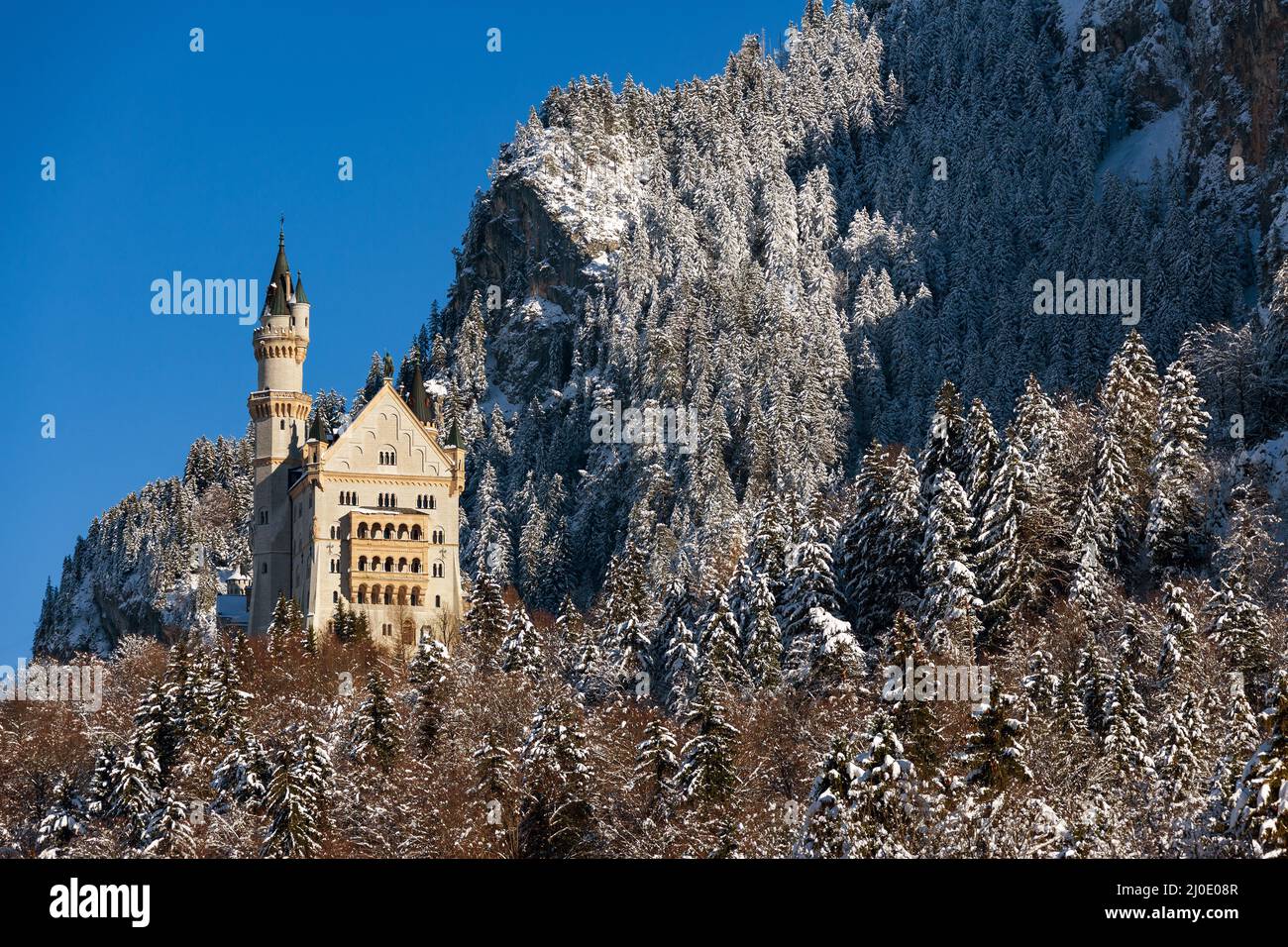 Neuschwanstein castle panoramic view hi-res stock photography and images - Alamy