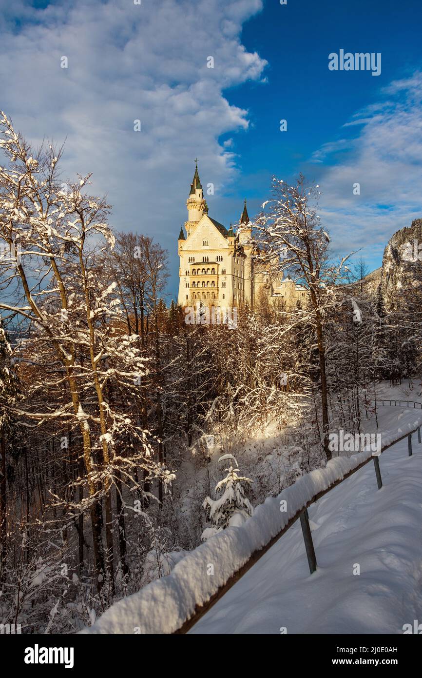 Neuschwanstein Castle in winter landscape. Germany Stock Photo - Alamy