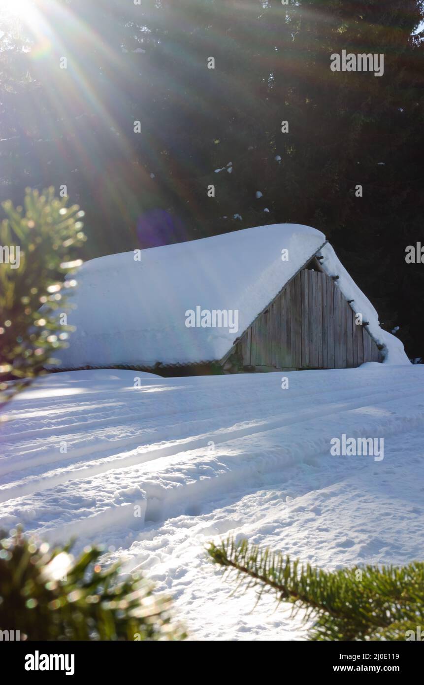 Vertial orientation hi-res stock photography and images - Alamy