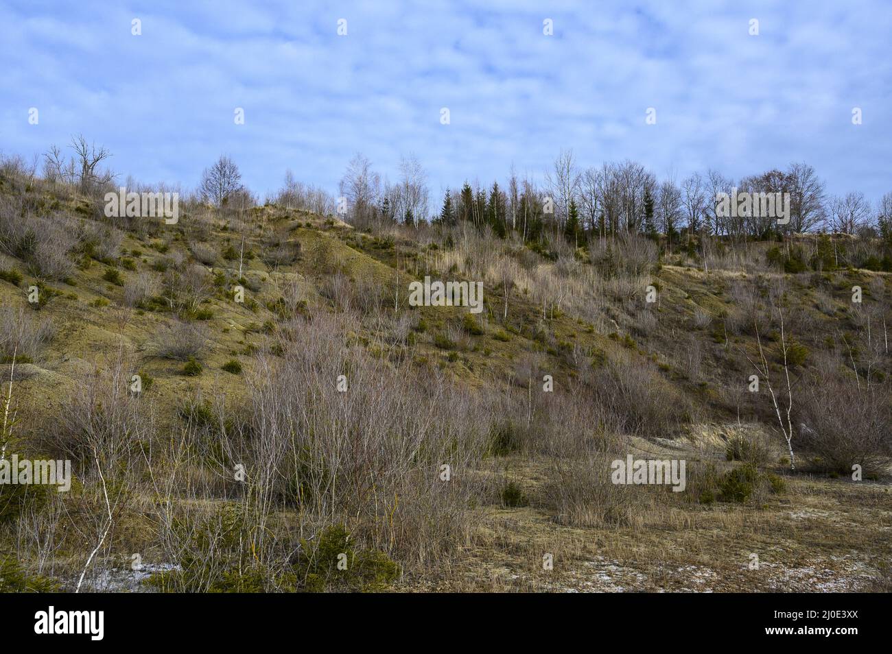Pionierbaumarten hi-res stock photography and images - Alamy