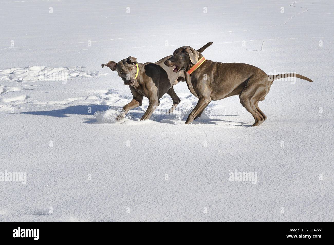 Mansharp hi-res stock photography and images - Alamy