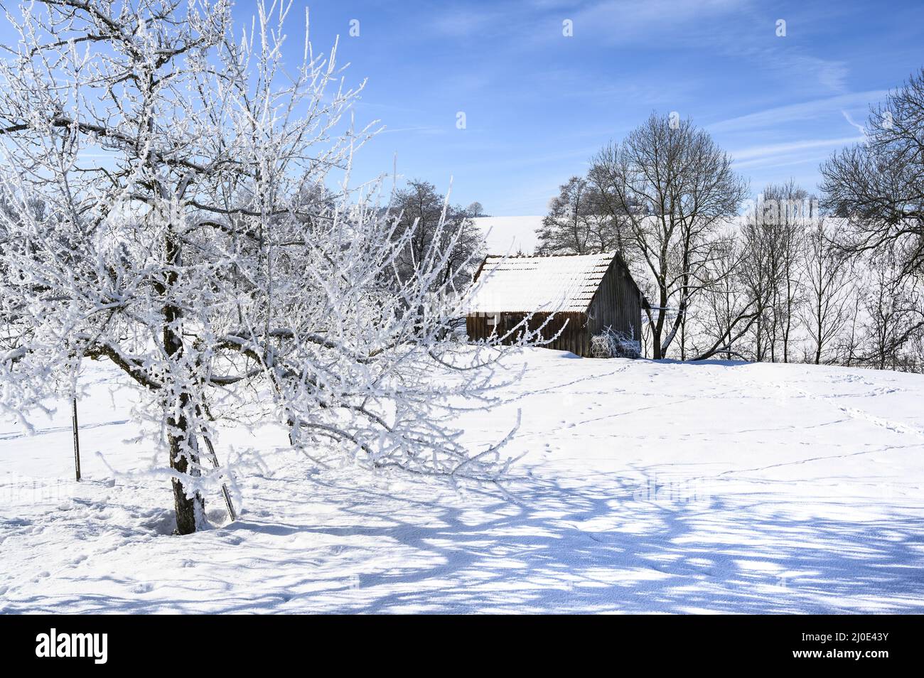Stable winter landscape hi-res stock photography and images - Alamy