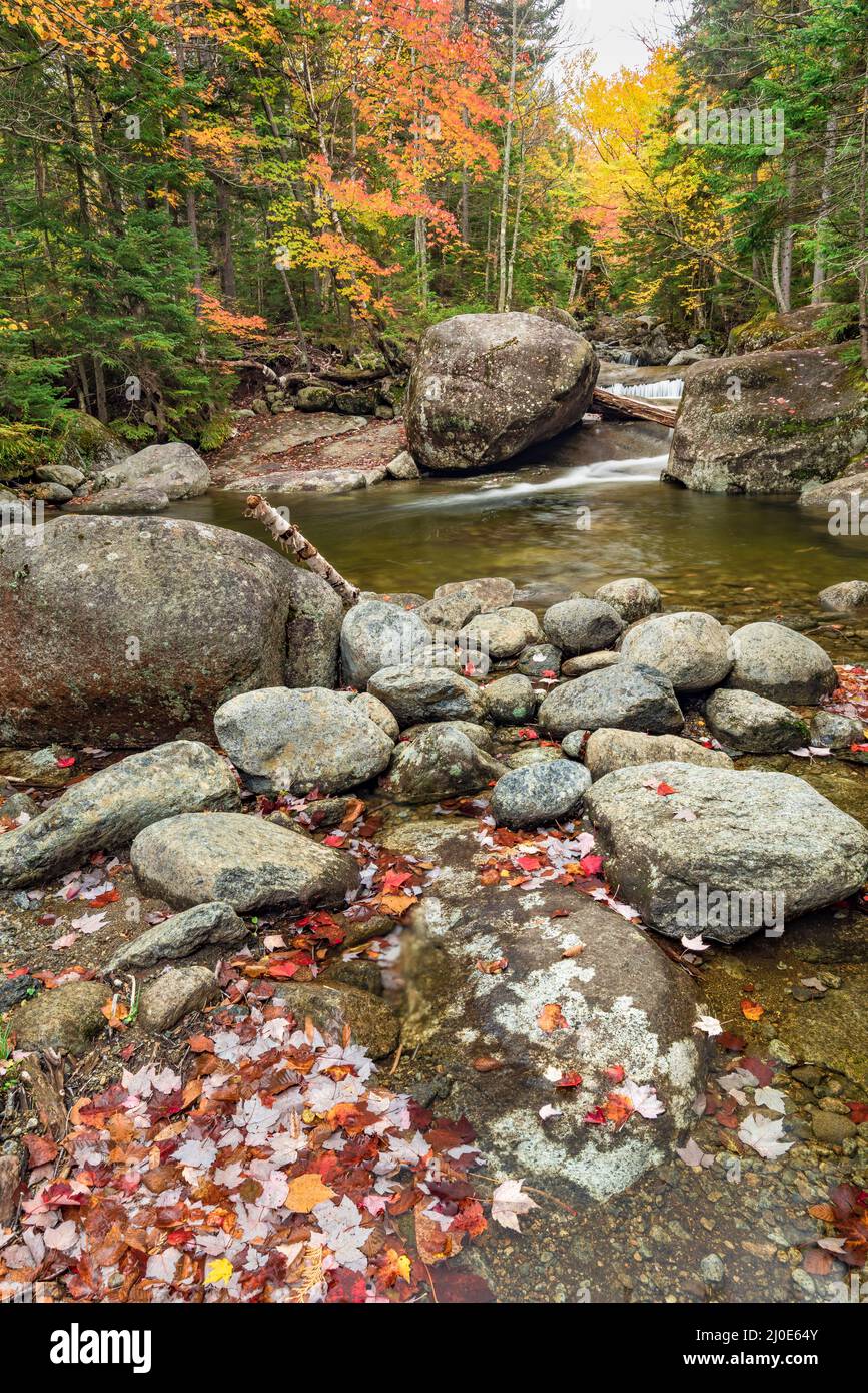 Phelps Brook in autumn along the Van Hoevenberg Trail, Adirondack Park ...