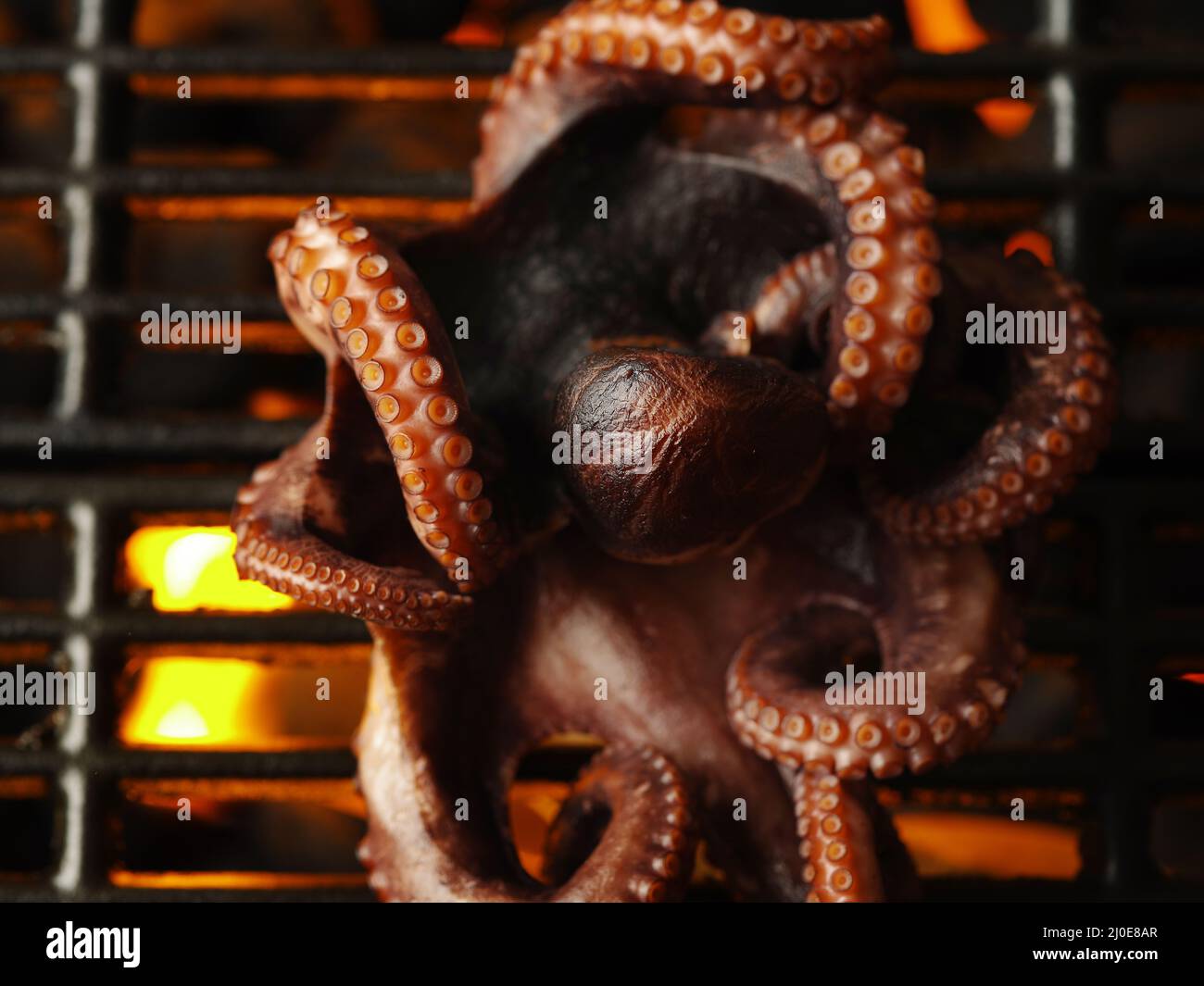 Big octopus is grilled. Fire burns through the grate. Marine products ...
