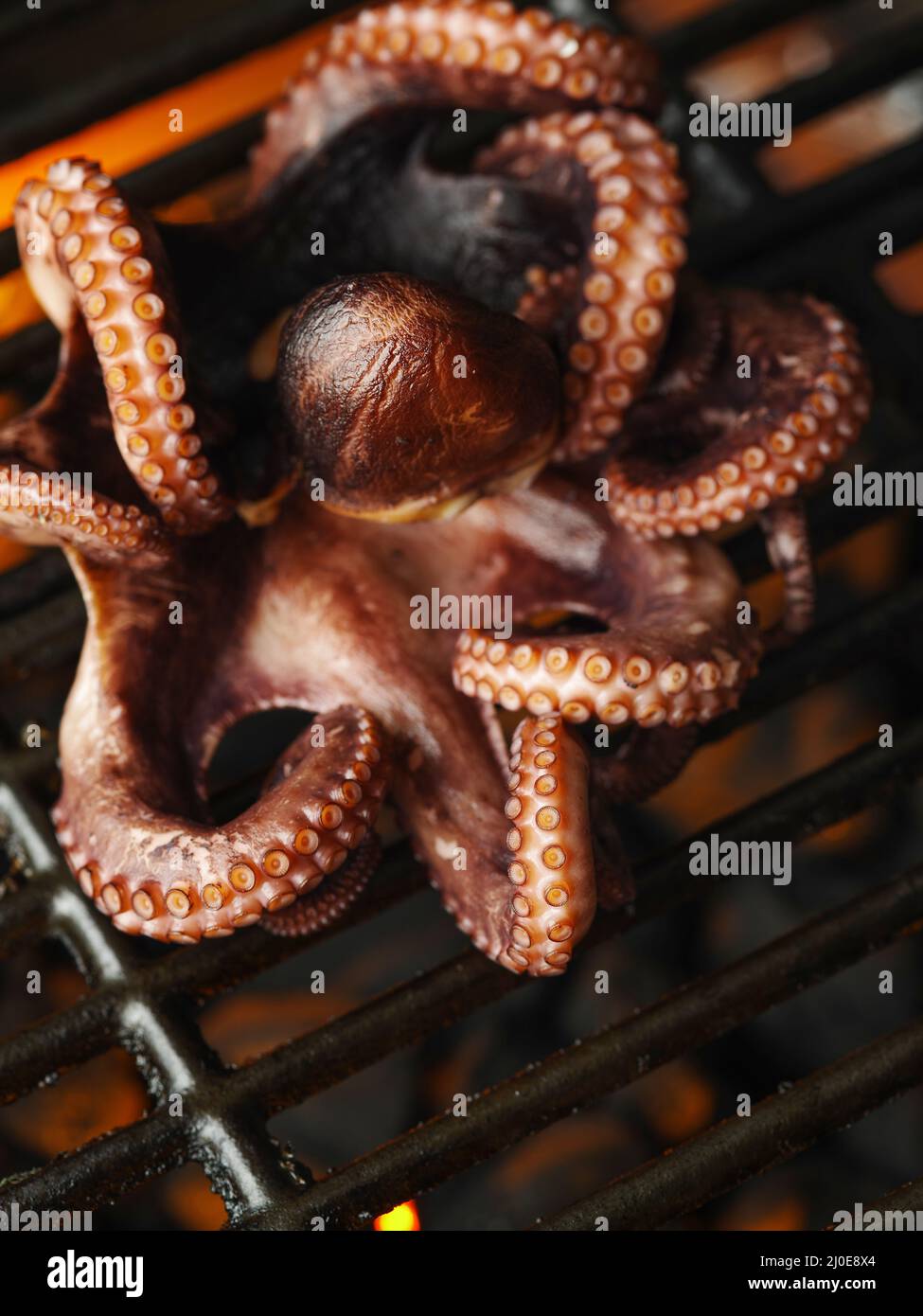 Close-up. Grilled ocean octopus. Exotic gourmet food. Restaurant dish ...