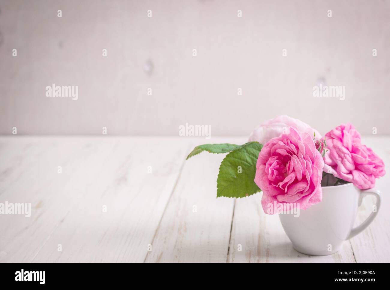 Tea roses hi-res stock photography and images - Alamy