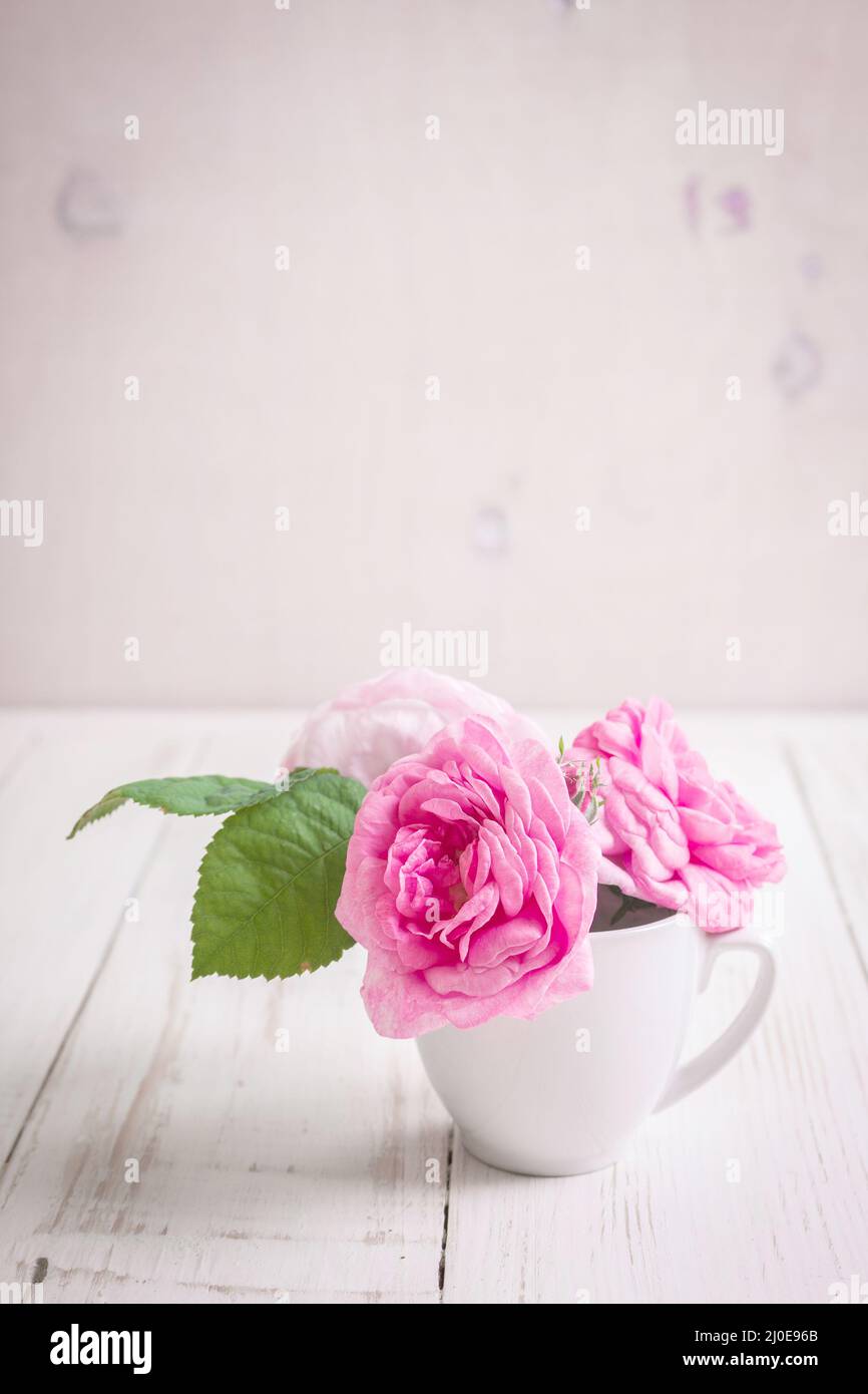 Pink tea roses on a white wooden background Stock Photo - Alamy