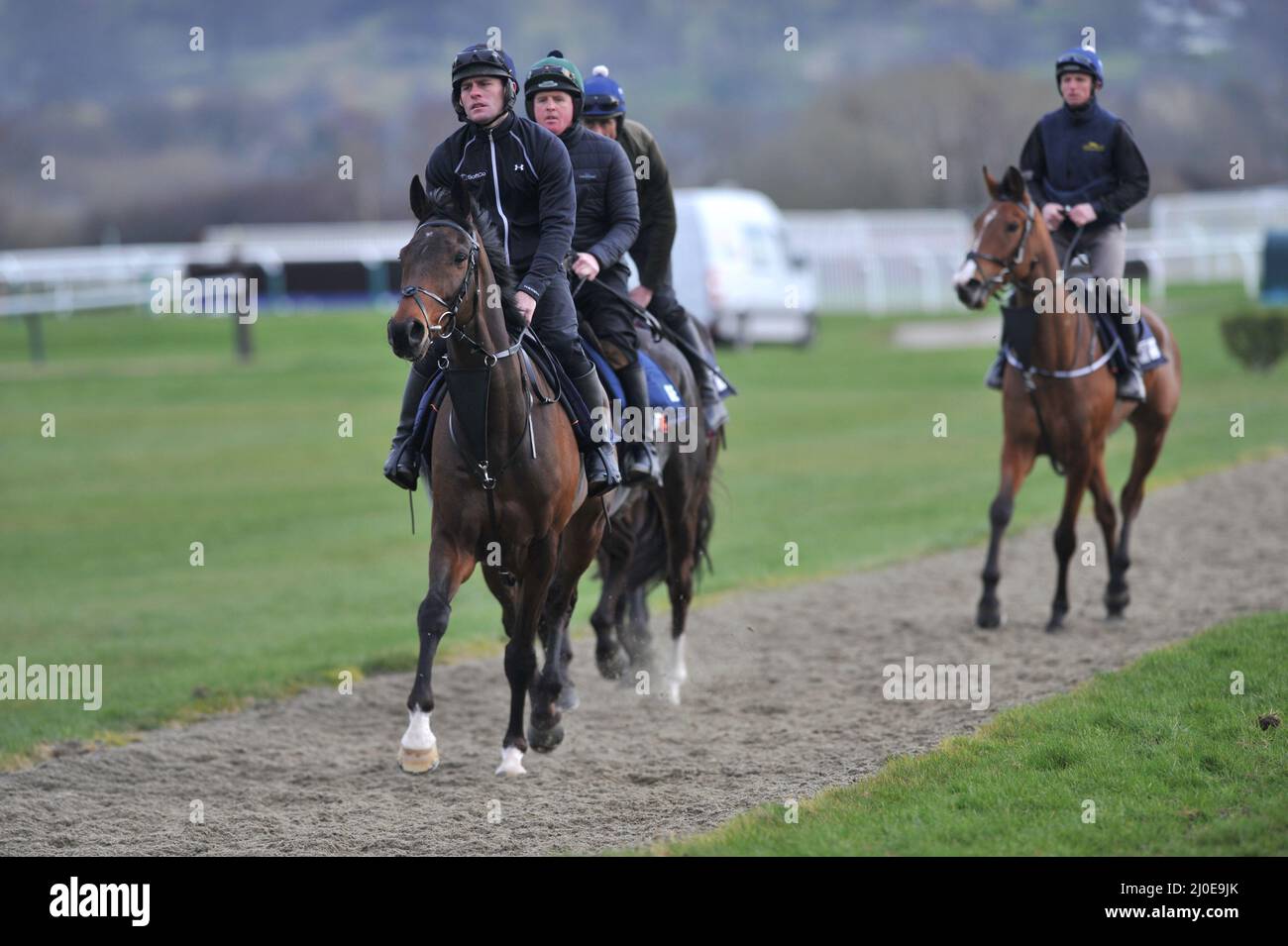 The gallops at Cheltenham Racecourse on the first day of the Cheltenham ...