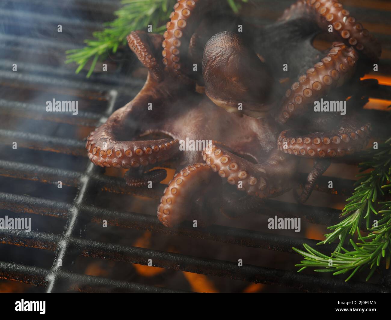 Close-up. Octopus with rosemary sprigs are grilled. Smoky background ...