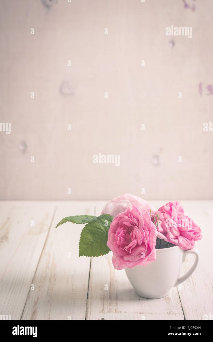 Pink tea roses on a white wooden background Stock Photo - Alamy