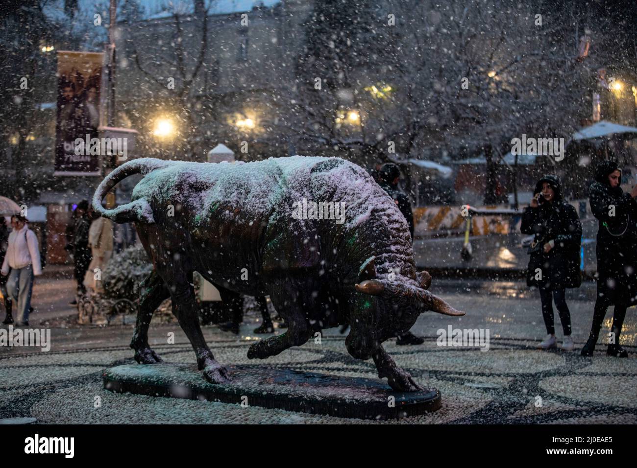Bull istanbul hi-res stock photography and images - Alamy