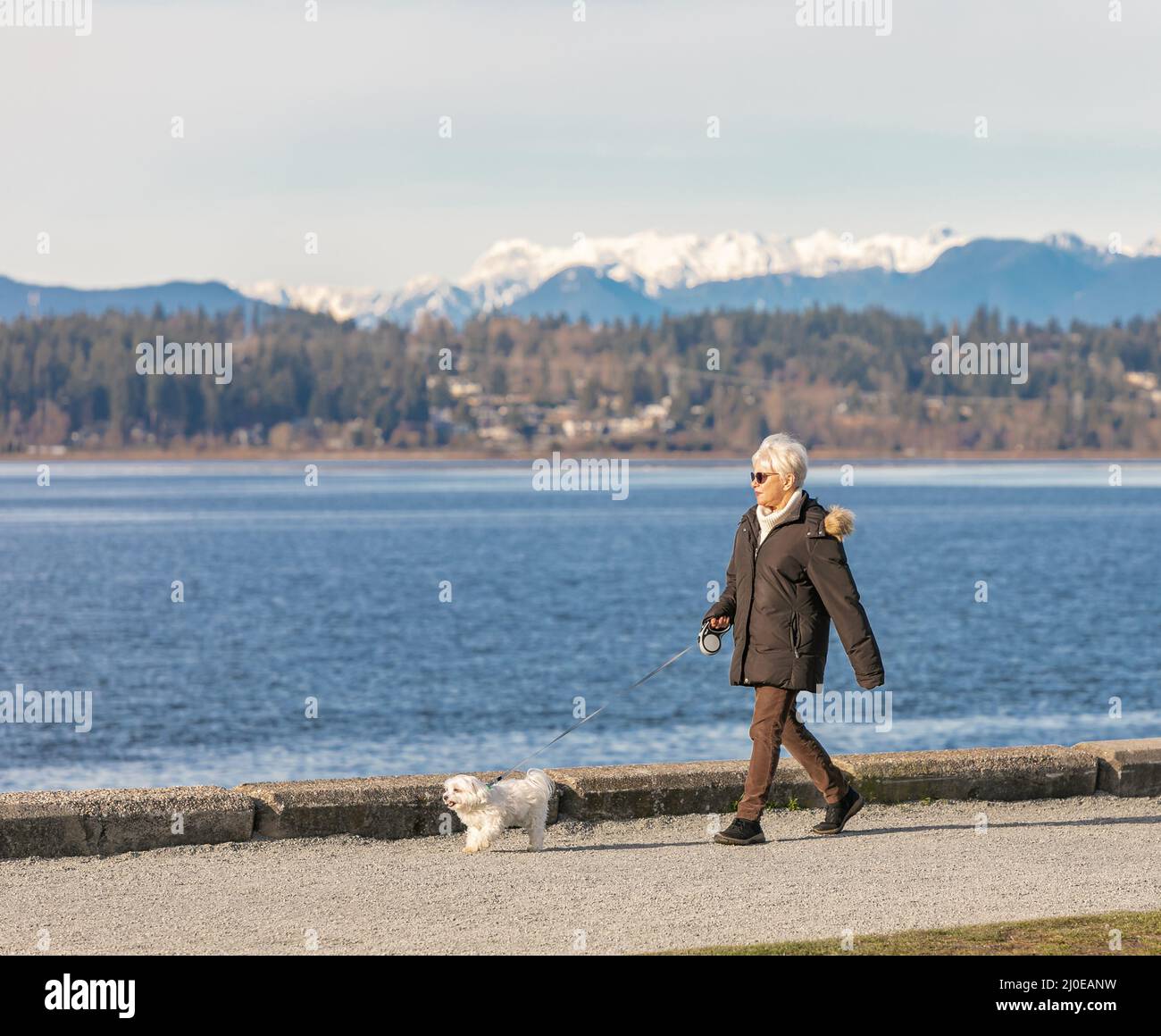 Senior woman walking dog hi-res stock photography and images - Alamy