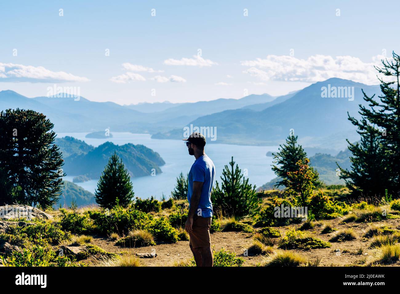 Man standing near the bushes admiring the beautiful view of the lake ...
