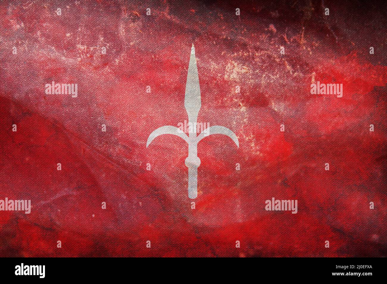 Top view of Free Territory Trieste, Italy retro flag with grunge ...