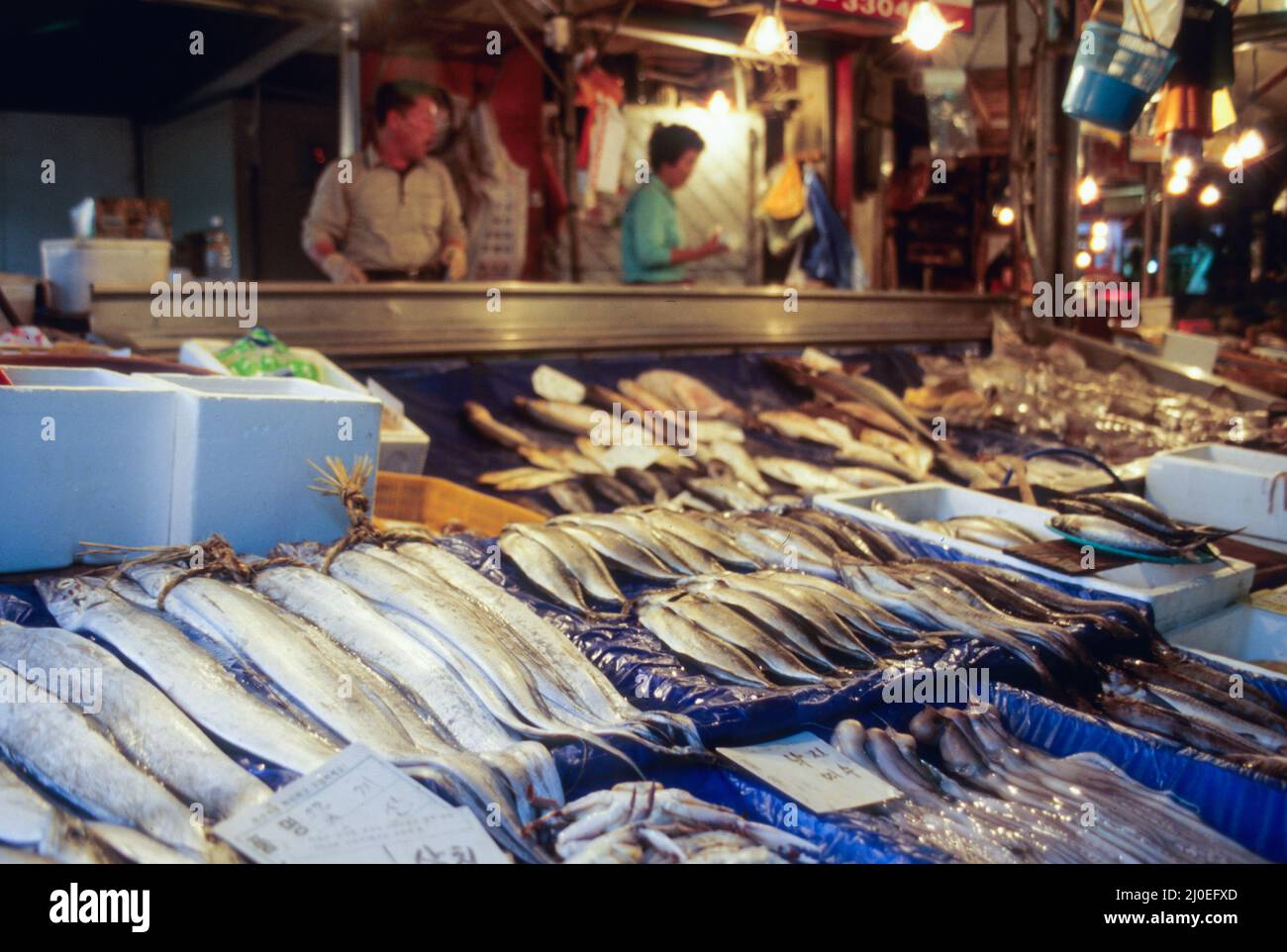 Traditional fishmonger in Seoul, South Korea Stock Photo - Alamy