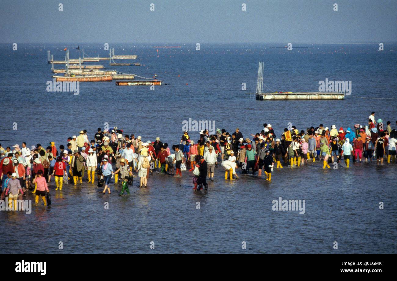 Thousands of visitors cross the sea between Jindo island and a small ...