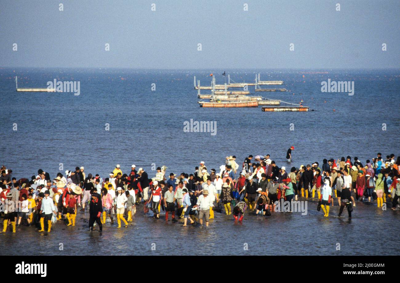 Thousands of visitors cross the sea between Jindo island and a small ...