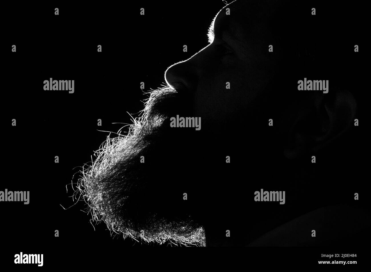 Shadow male bearded closeup profile. Bearded man with beard, bearded ...