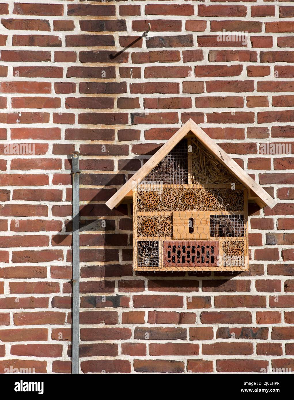 Insect hotel brick hi-res stock photography and images - Alamy