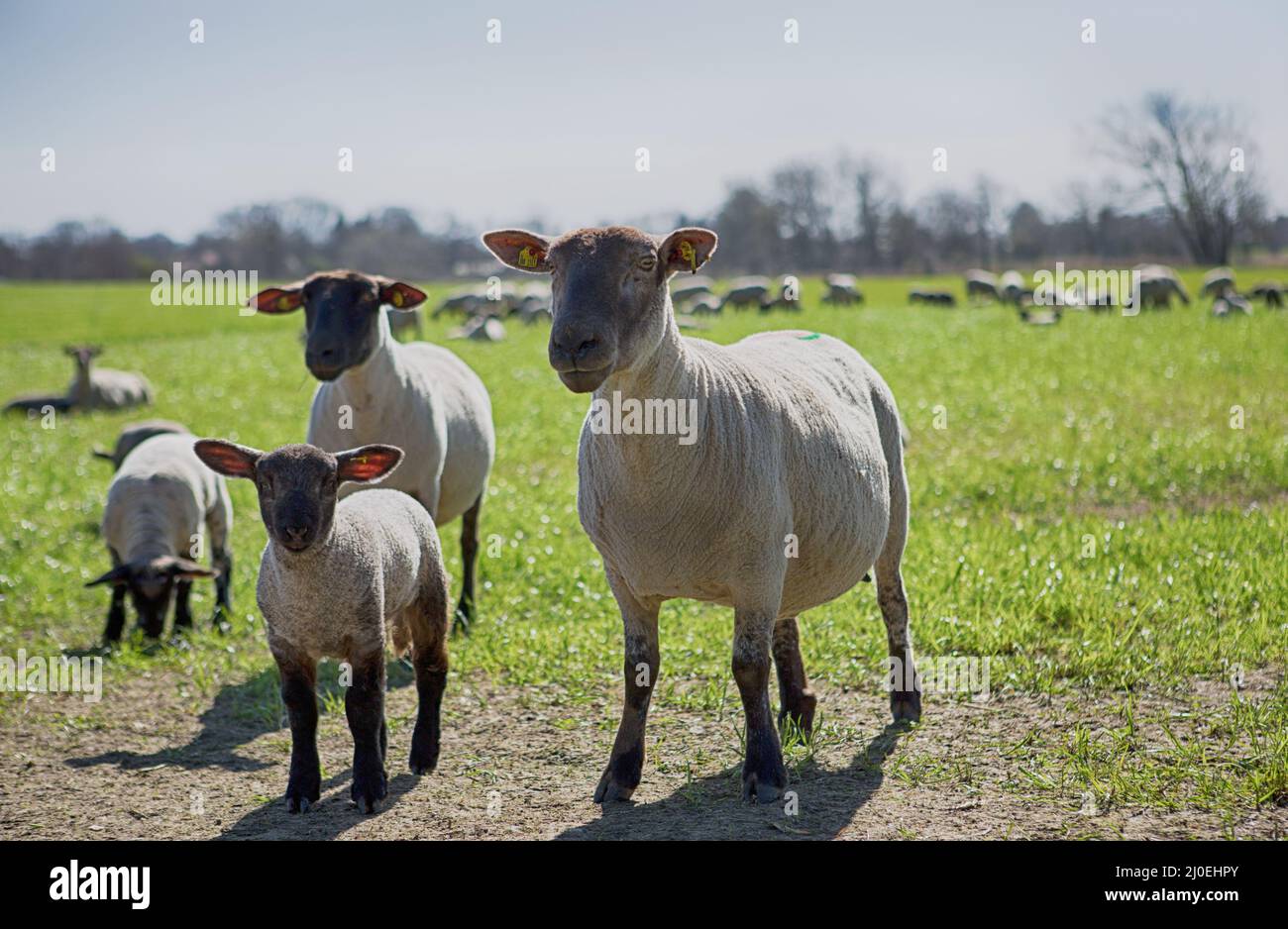 Auf uns hi-res stock photography and images - Alamy