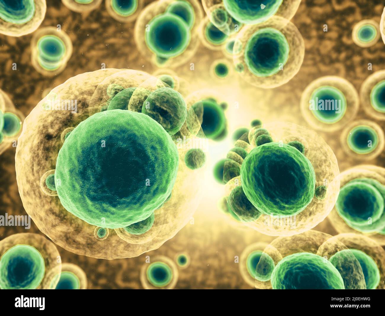 Is your immune system ready. Microscopic view of bacteria in color ...