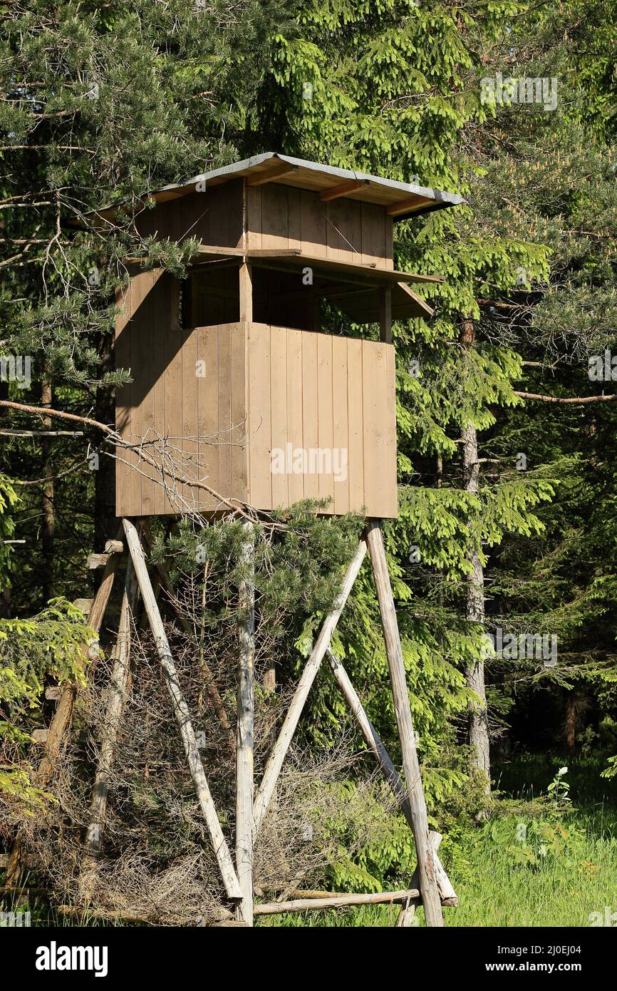 High seat for hunting Stock Photo - Alamy