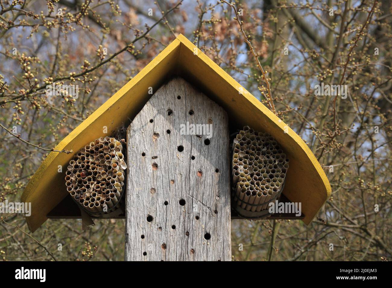 Einfaches insektenhotel hi-res stock photography and images - Alamy