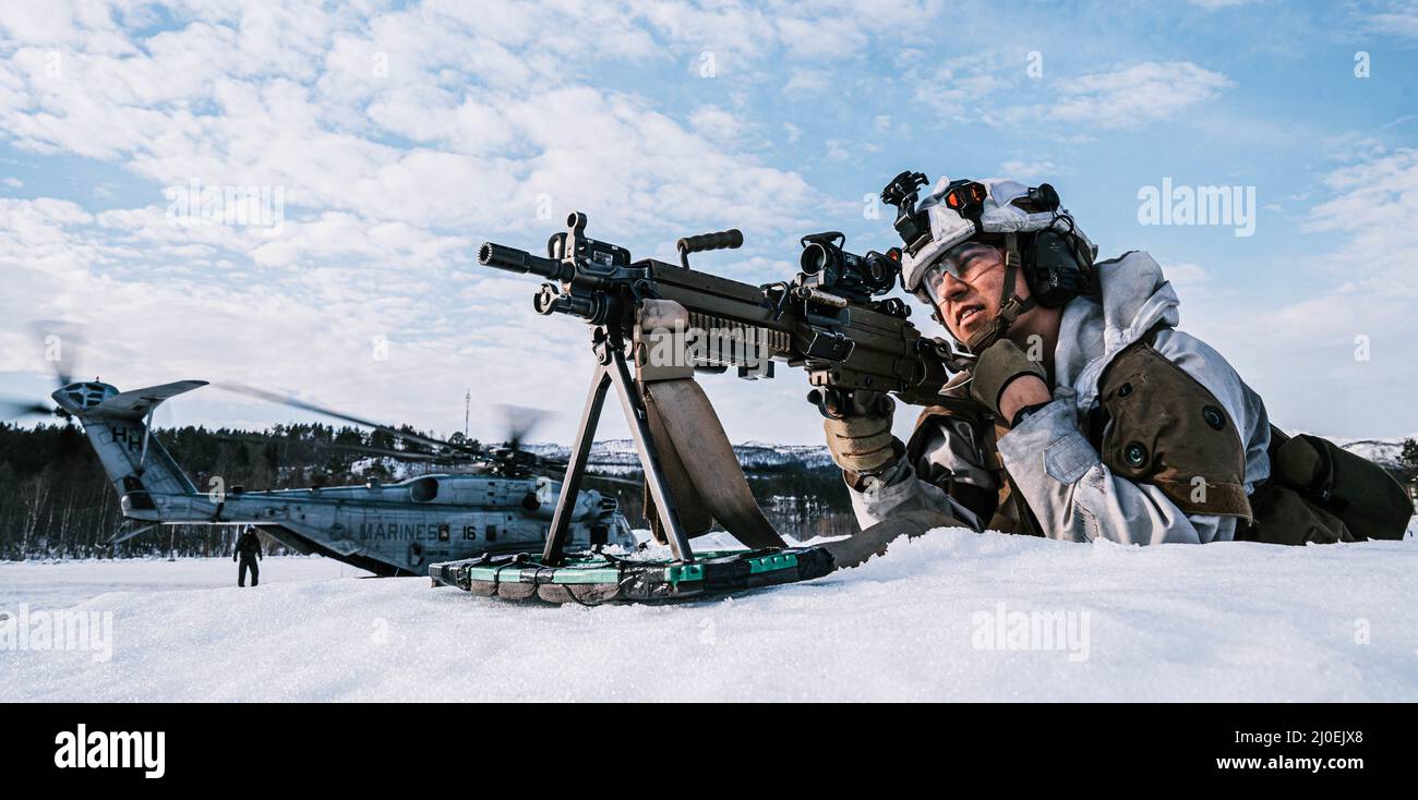 A Norwegian soldier with Armoured Battalion, Brigade Nord, Norwegian ...