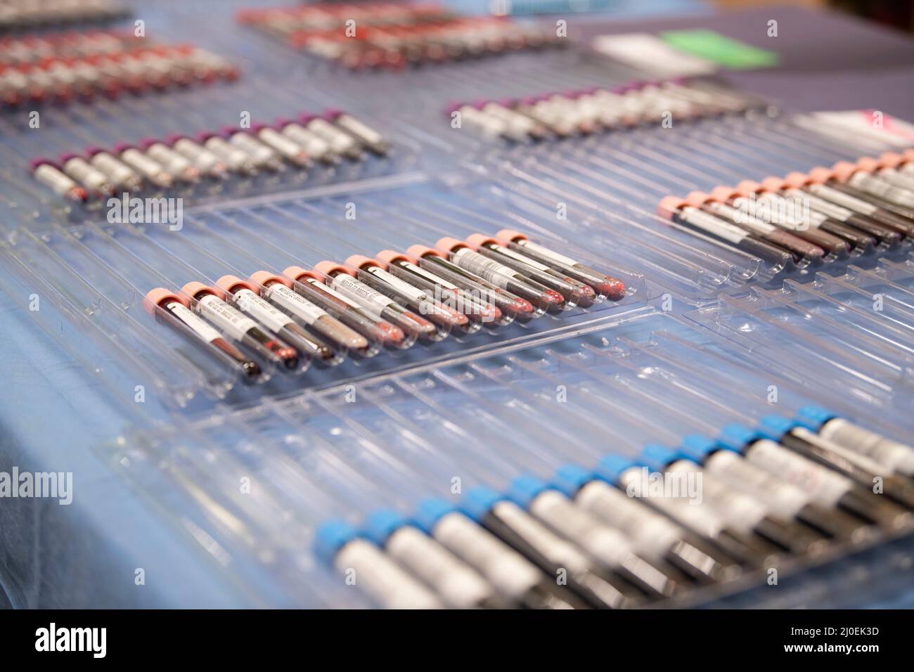 Dozens of blood collection tubes are gathered at The Hub in Brunssum ...