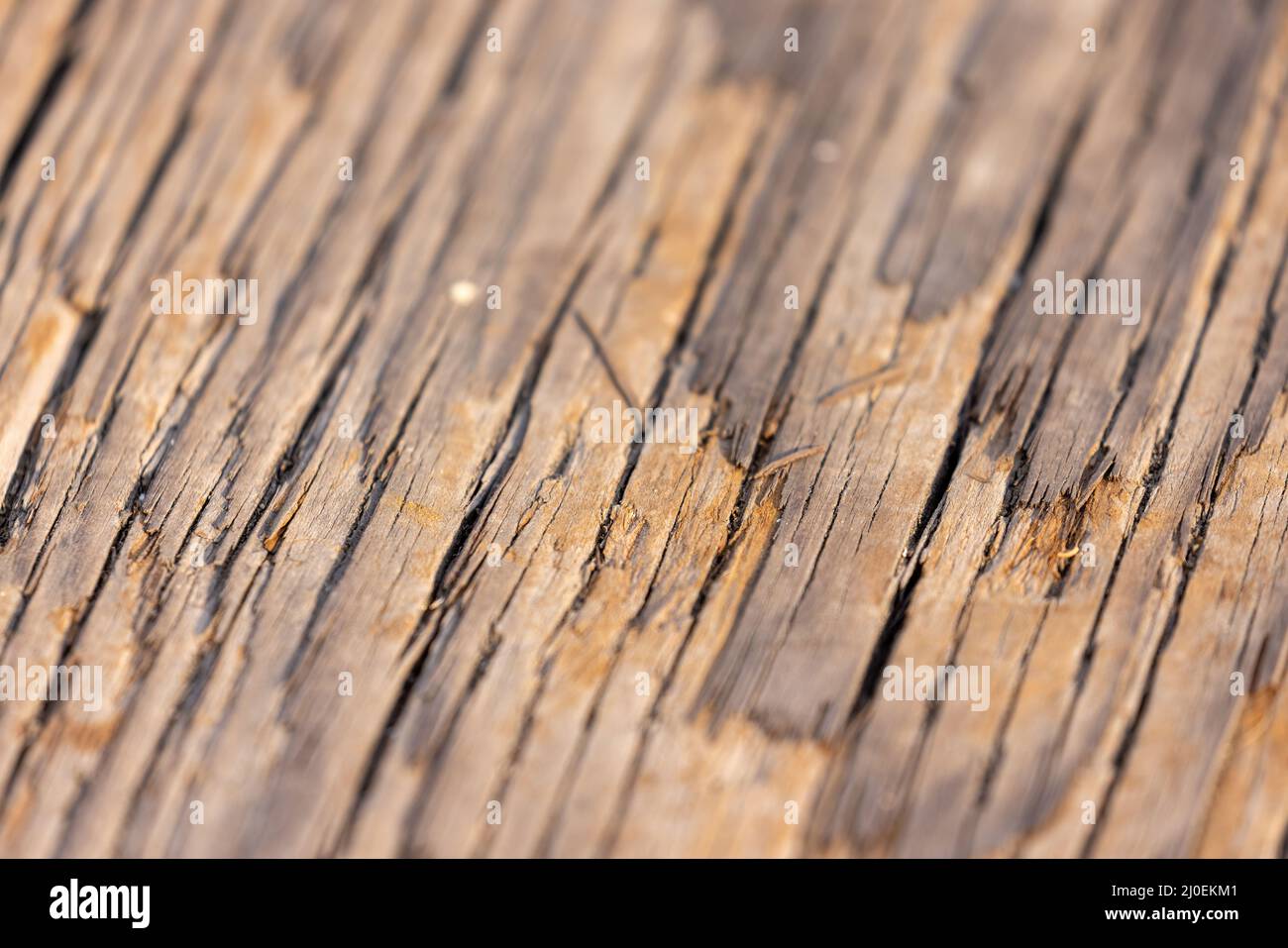 old dry weathered wood grain cracked and splintering Stock Photo - Alamy