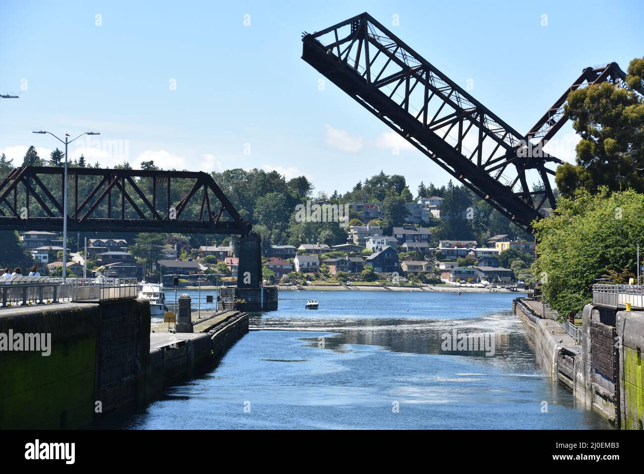 Ballard locks fish hi-res stock photography and images - Alamy