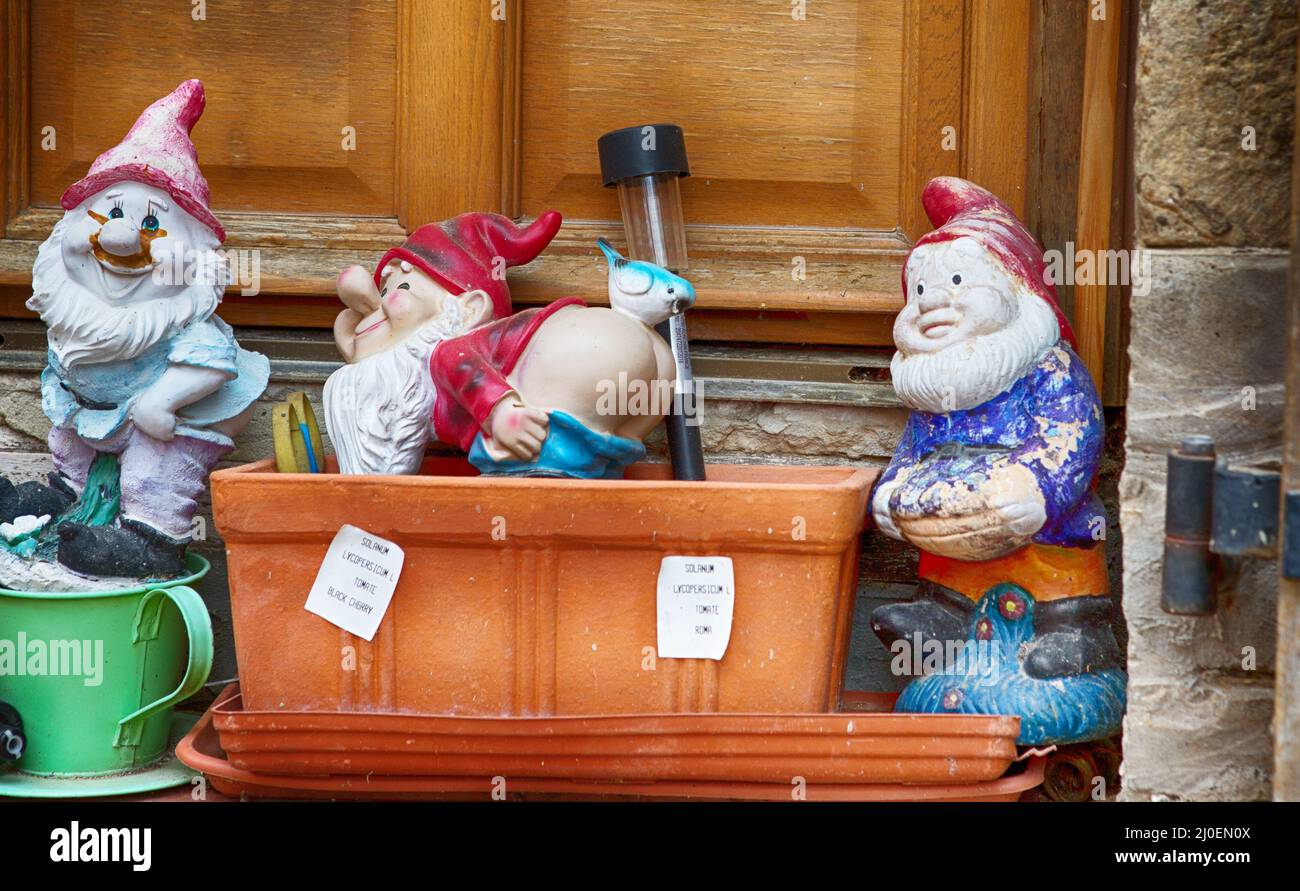 Gartengnom hi-res stock photography and images - Alamy