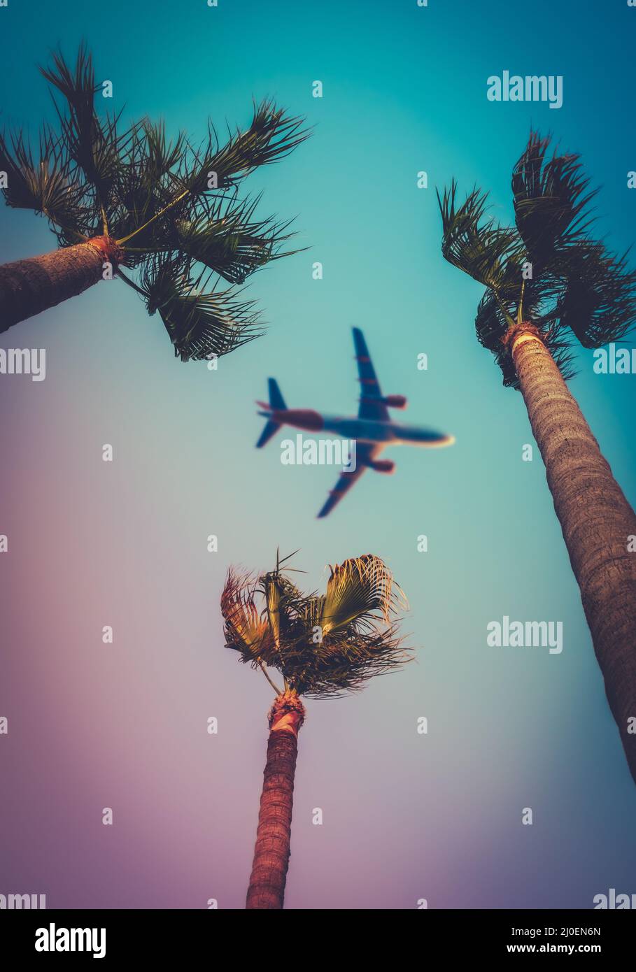 Retro sun palm trees hi-res stock photography and images - Alamy