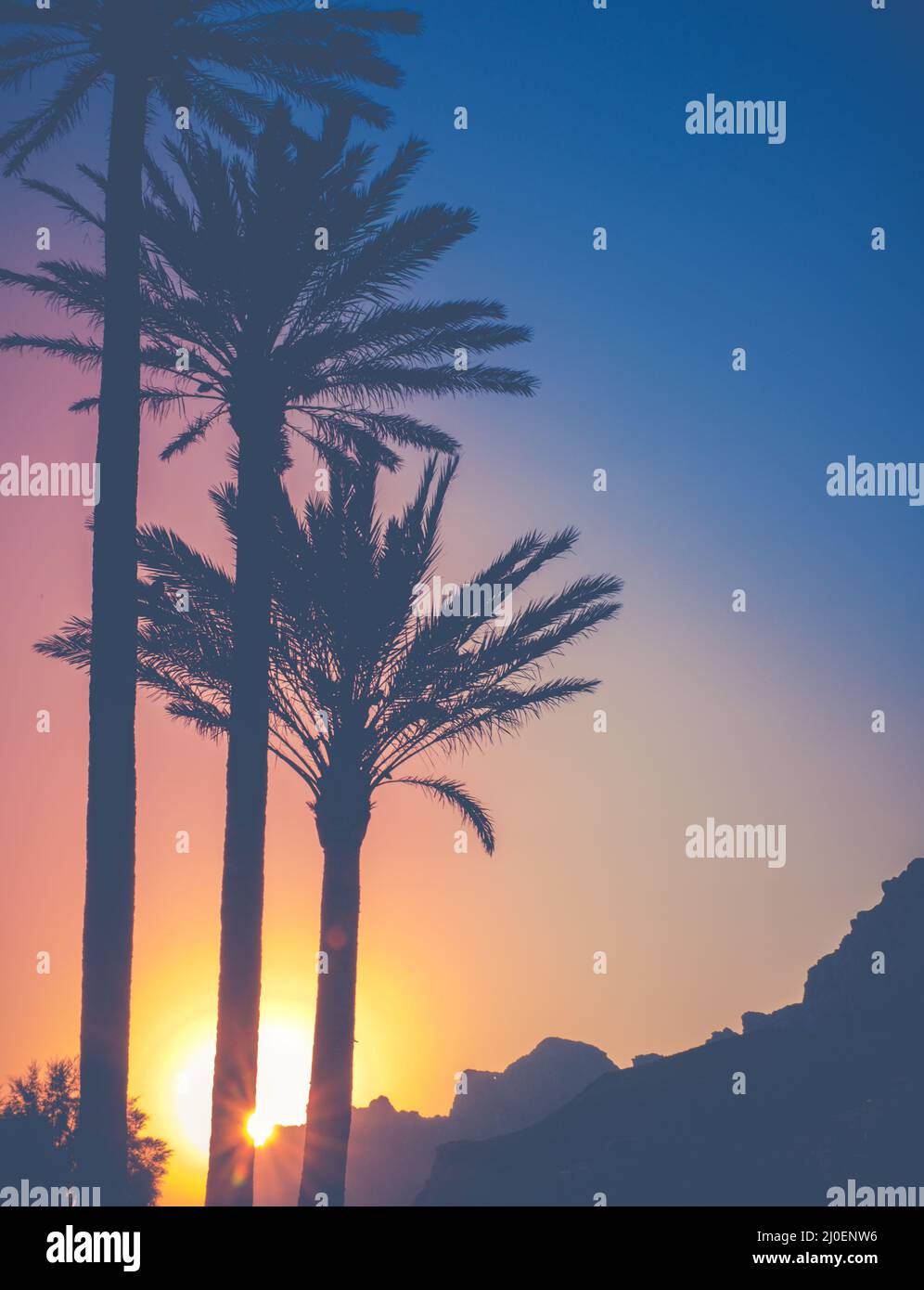 Vintage hawaii paradise hi-res stock photography and images - Alamy