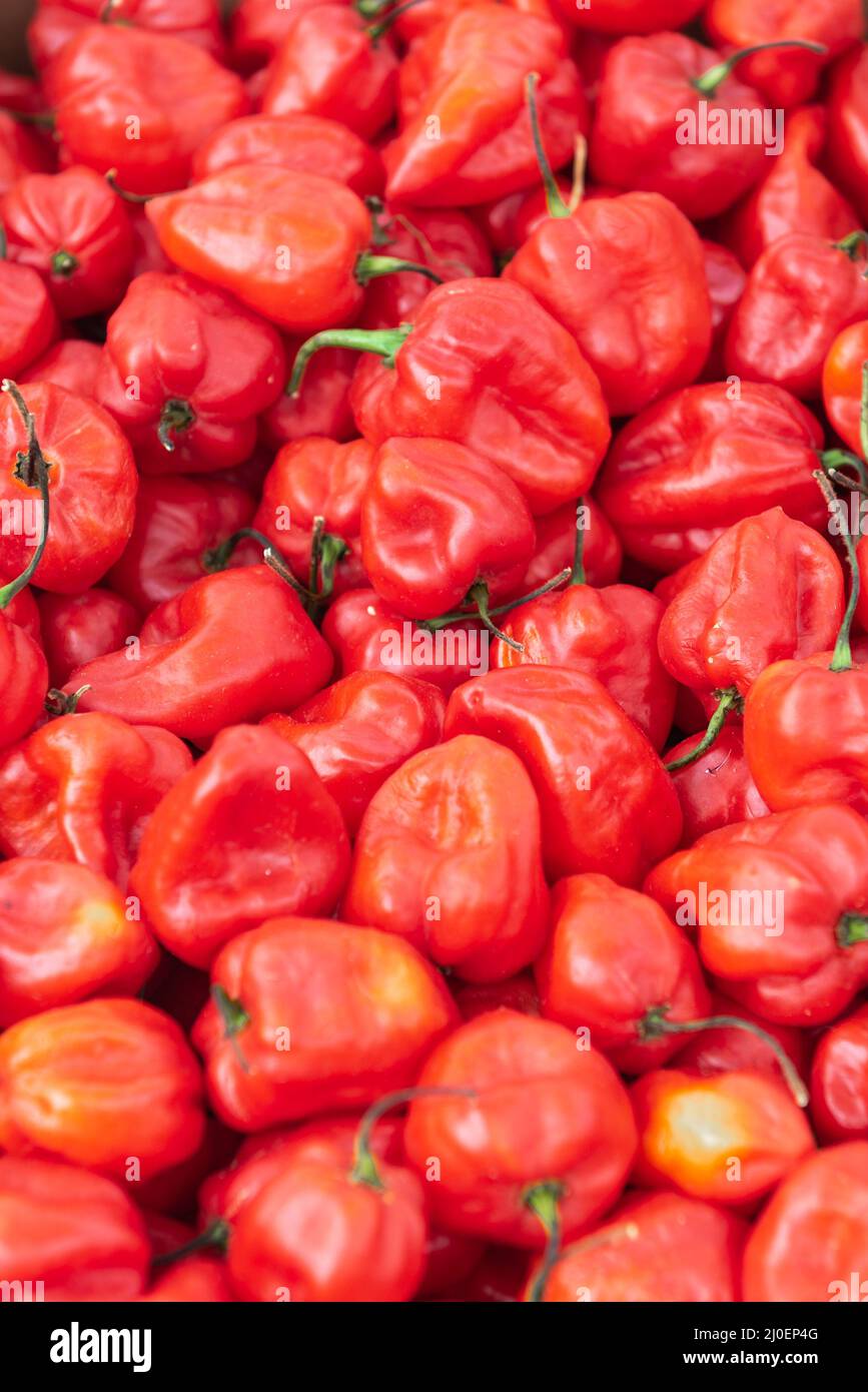 Mild bell pepper hi-res stock photography and images - Alamy