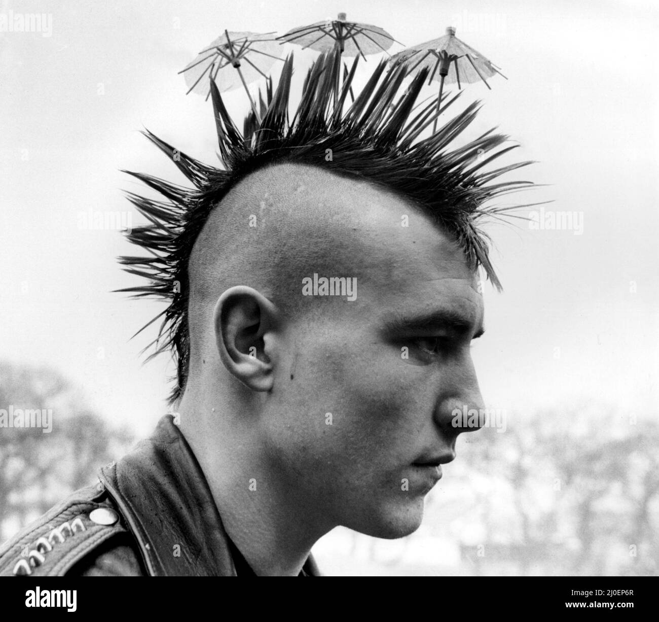 A picture from a series of humurous novelty images taken by Sunday ...